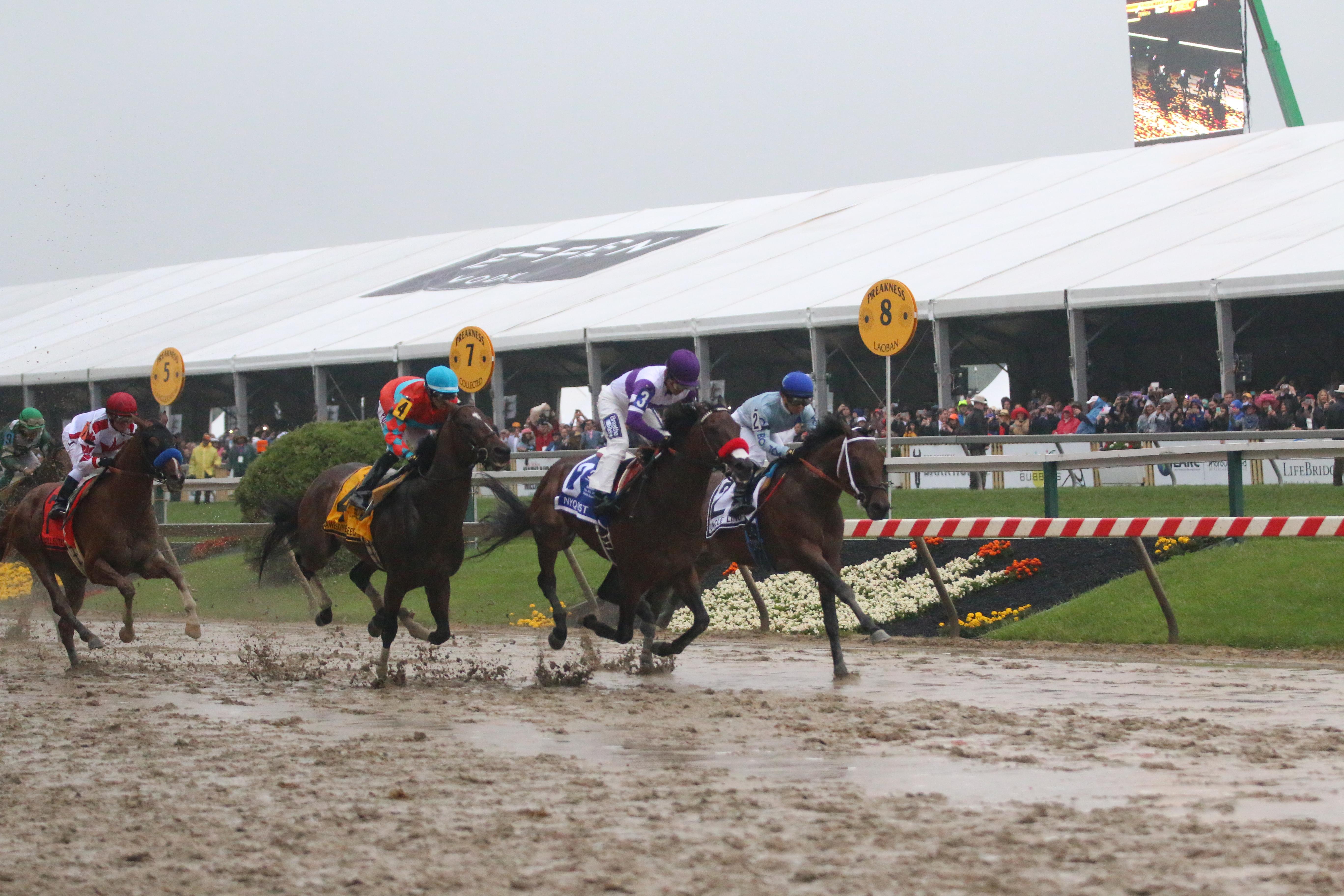 16Preakness_16.JPG | America's Best Racing