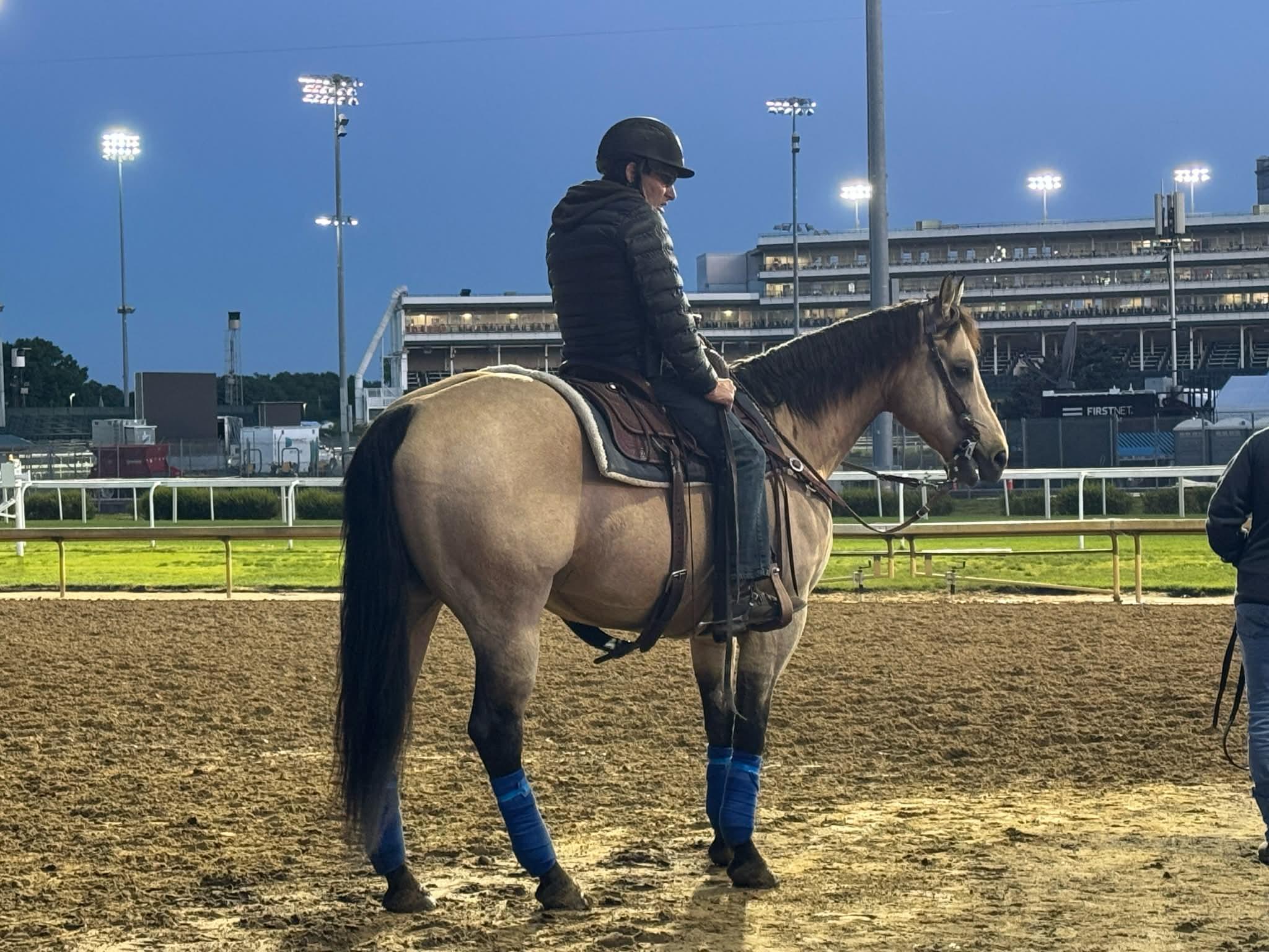 Meet Flashy Pony Uncle Buck, the Baffert Barn’s Eye-Catching New ...