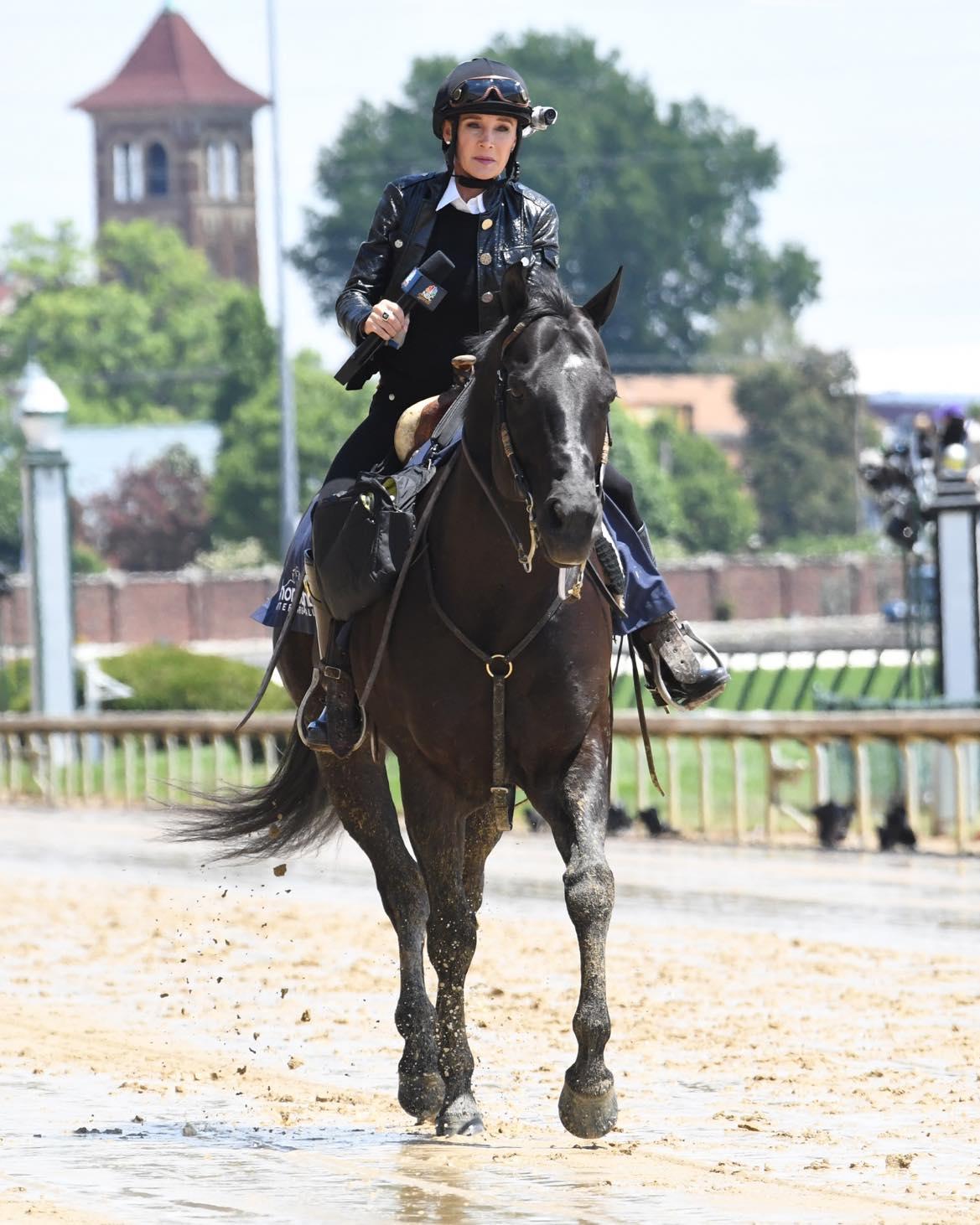 Sherman So Much More Than Lovable Tank for Moquett Barn, Donna Brothers ...