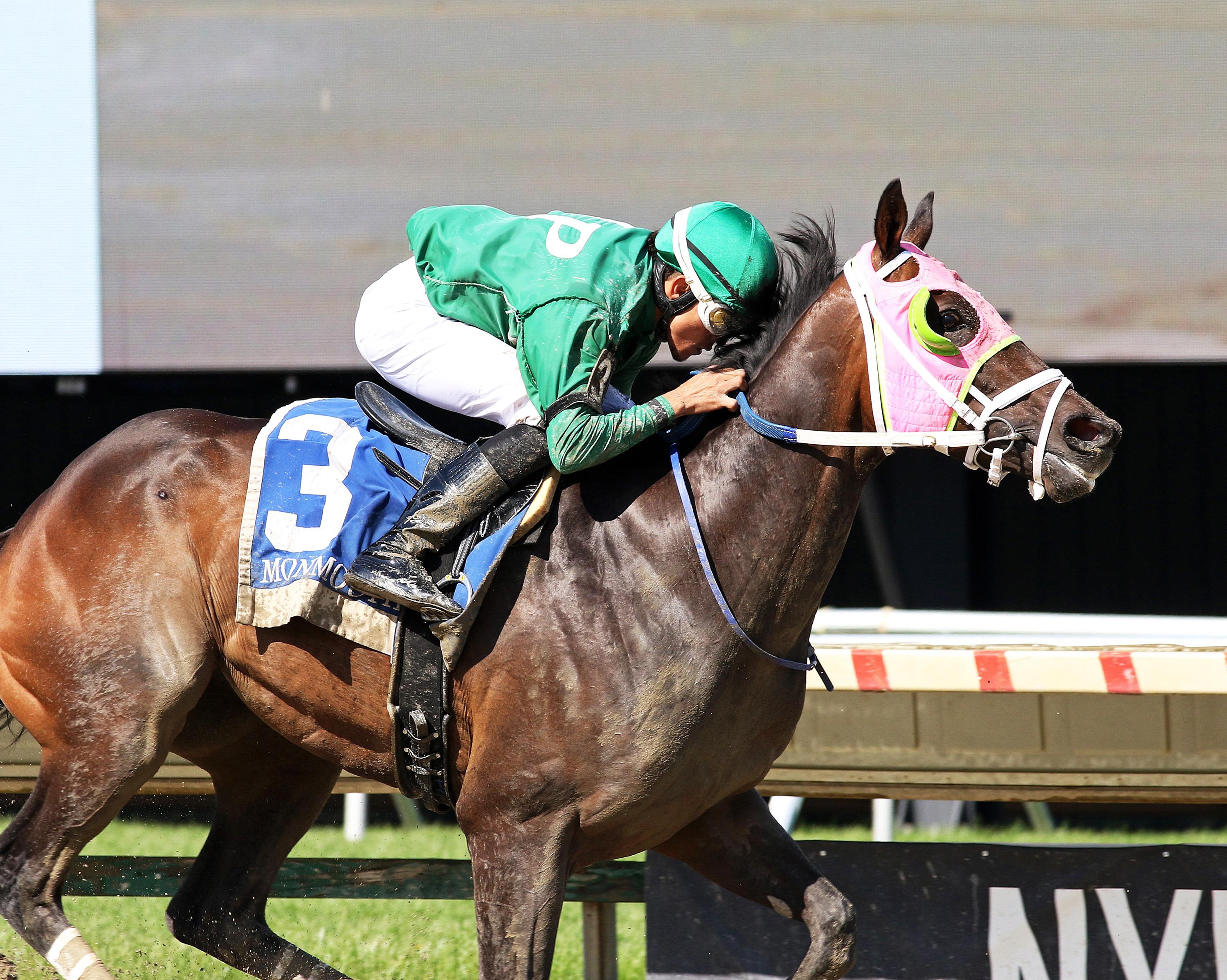Using the Cutback in Distance Angle for Star de Naskra Stakes at ...