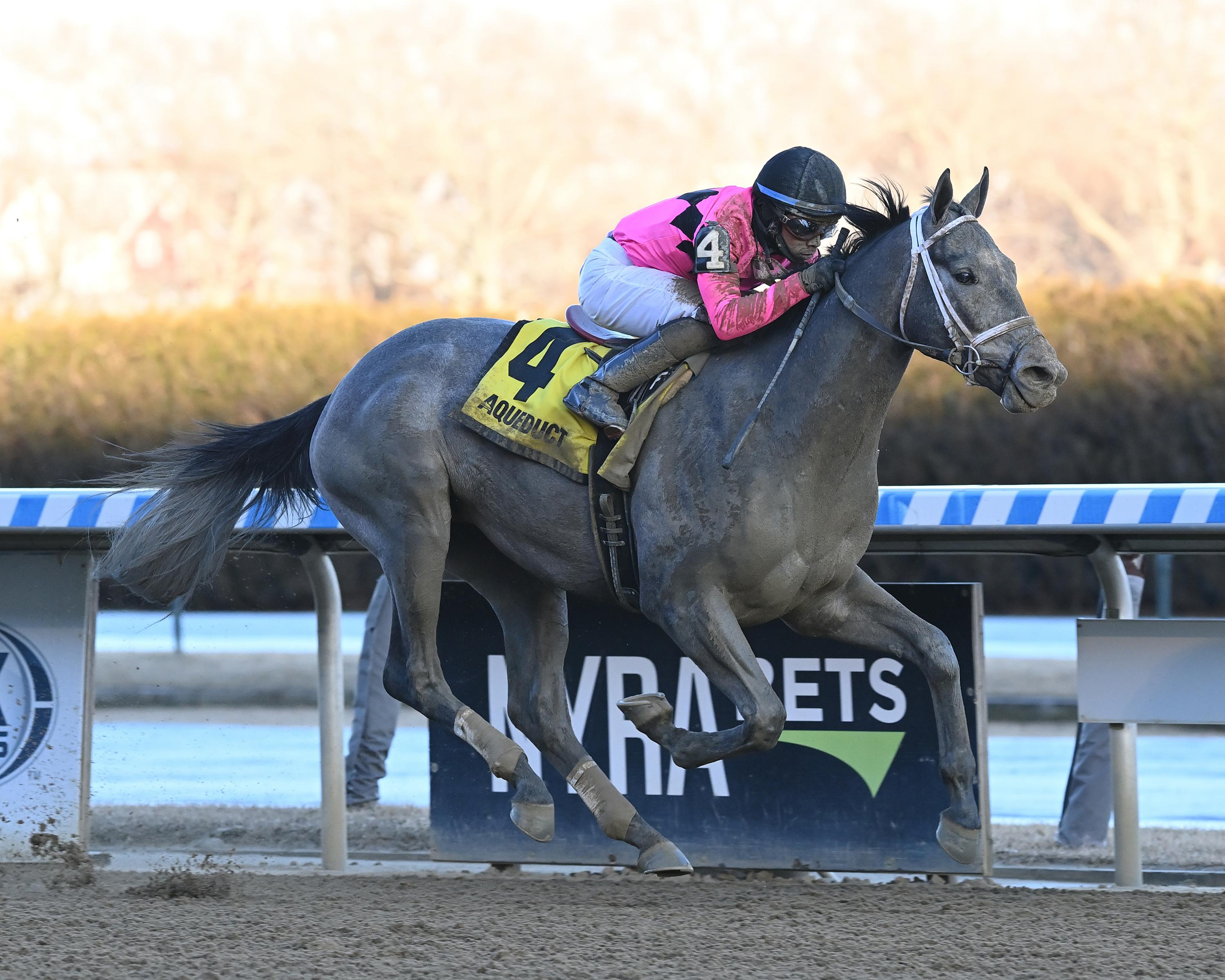 Hit Show Cruises to Victory in Withers Stakes | America's Best Racing