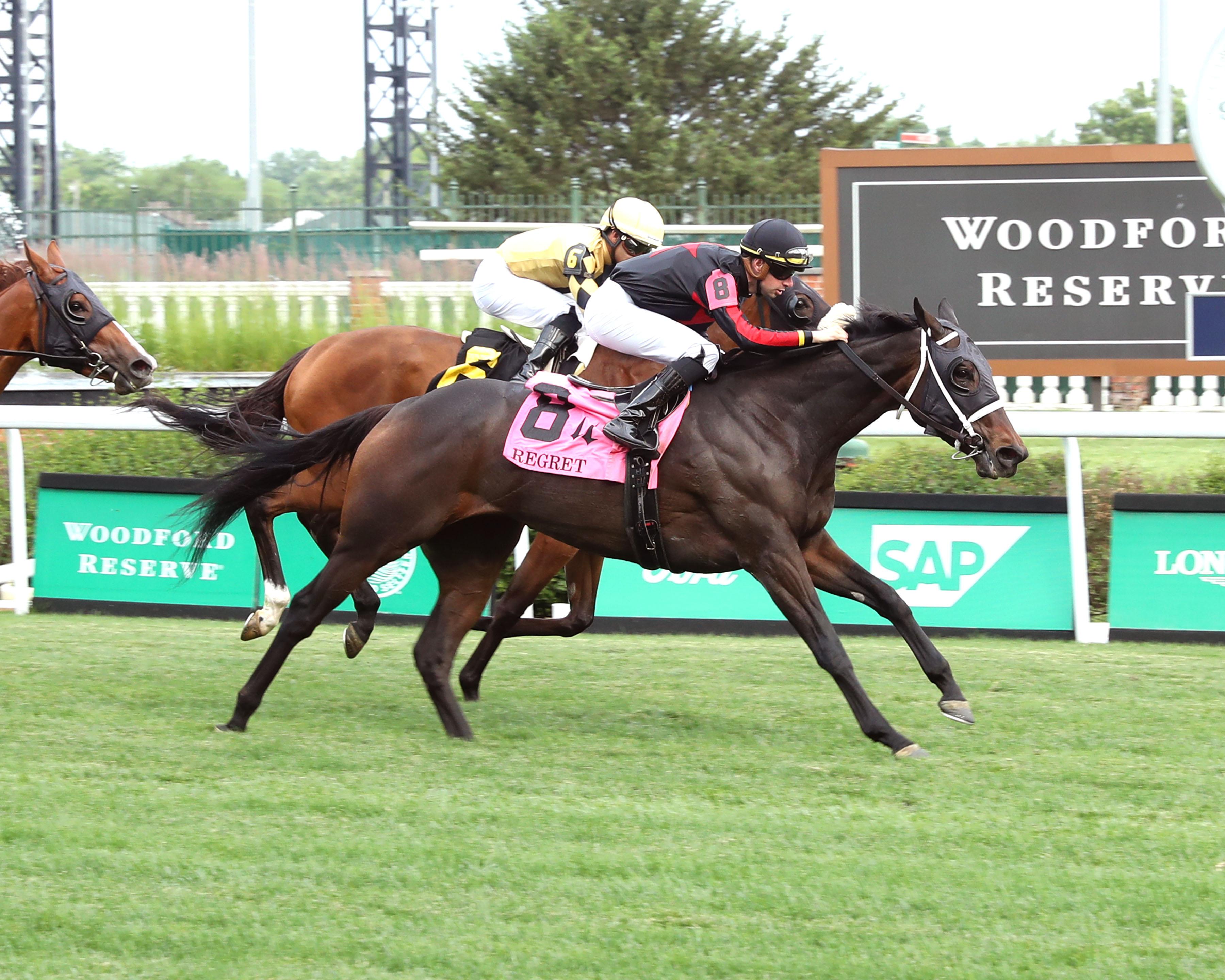 2025 Queen Elizabeth II Challenge Cup at a Glance | America's Best Racing