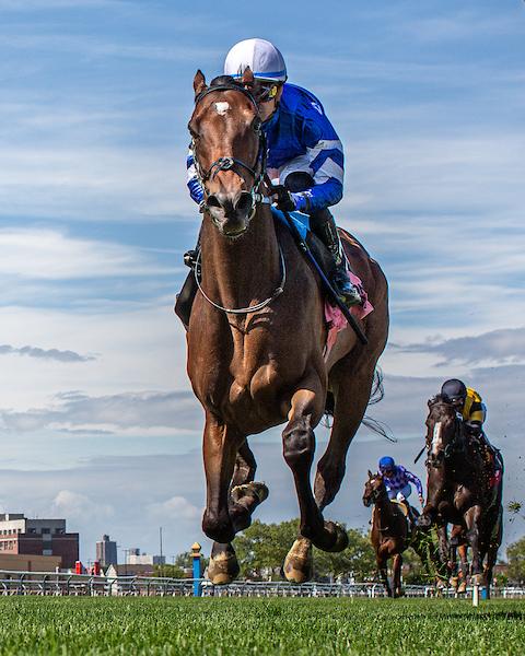 Five Weekend Takeaways You Need to Know Ahead of the Preakness and ...