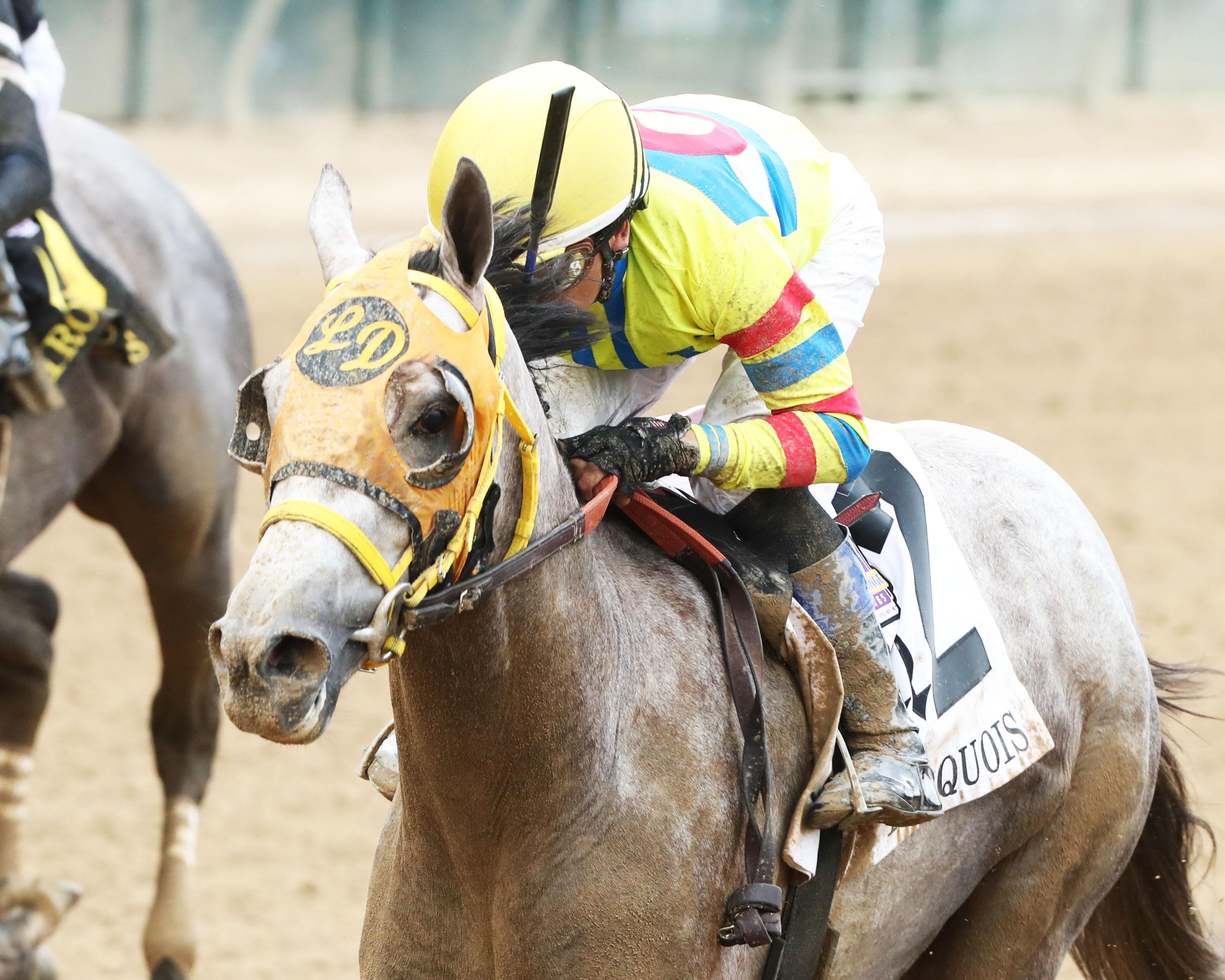 Owner Veruchi Chats Catching Kentucky Derby Fever with Horse He Bought ...