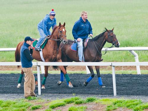 GrahamAK.jpg | America's Best Racing