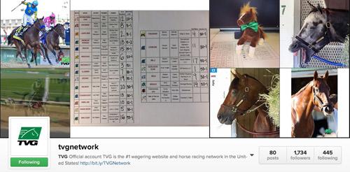 Tvg.jpg | America's Best Racing