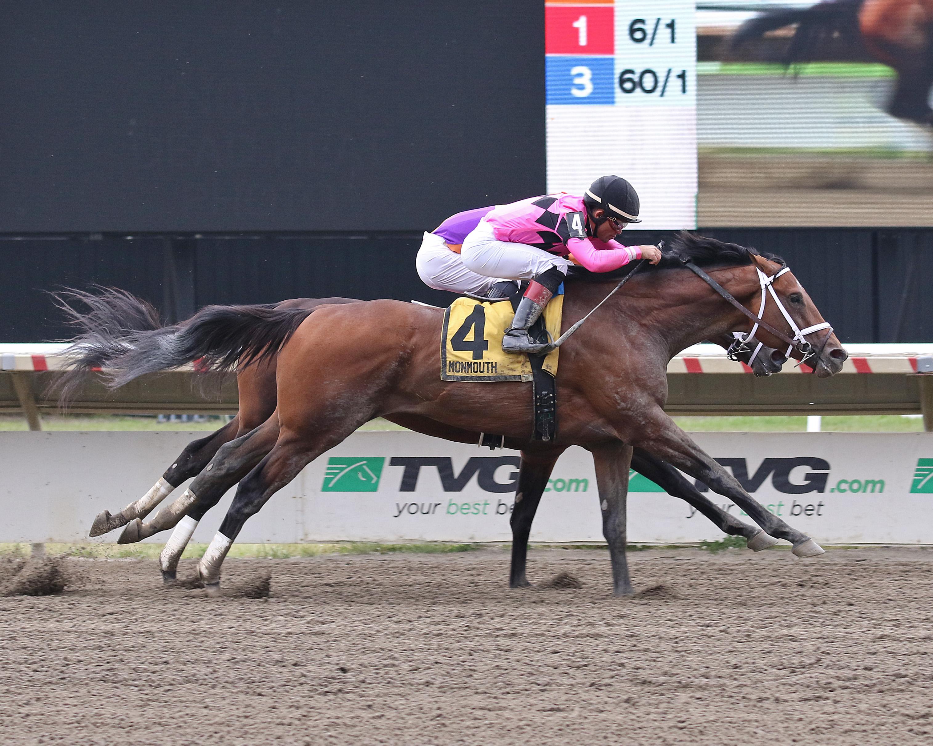 2023 Haskell Stakes Cheat Sheet Americas Best Racing