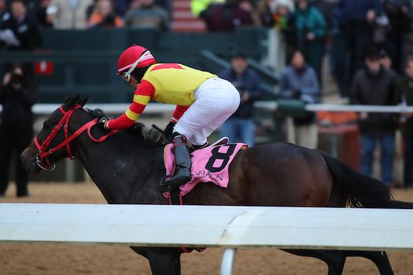 Power Rankings: Virginia Derby Score Moves American Promise Into Top 10 ...