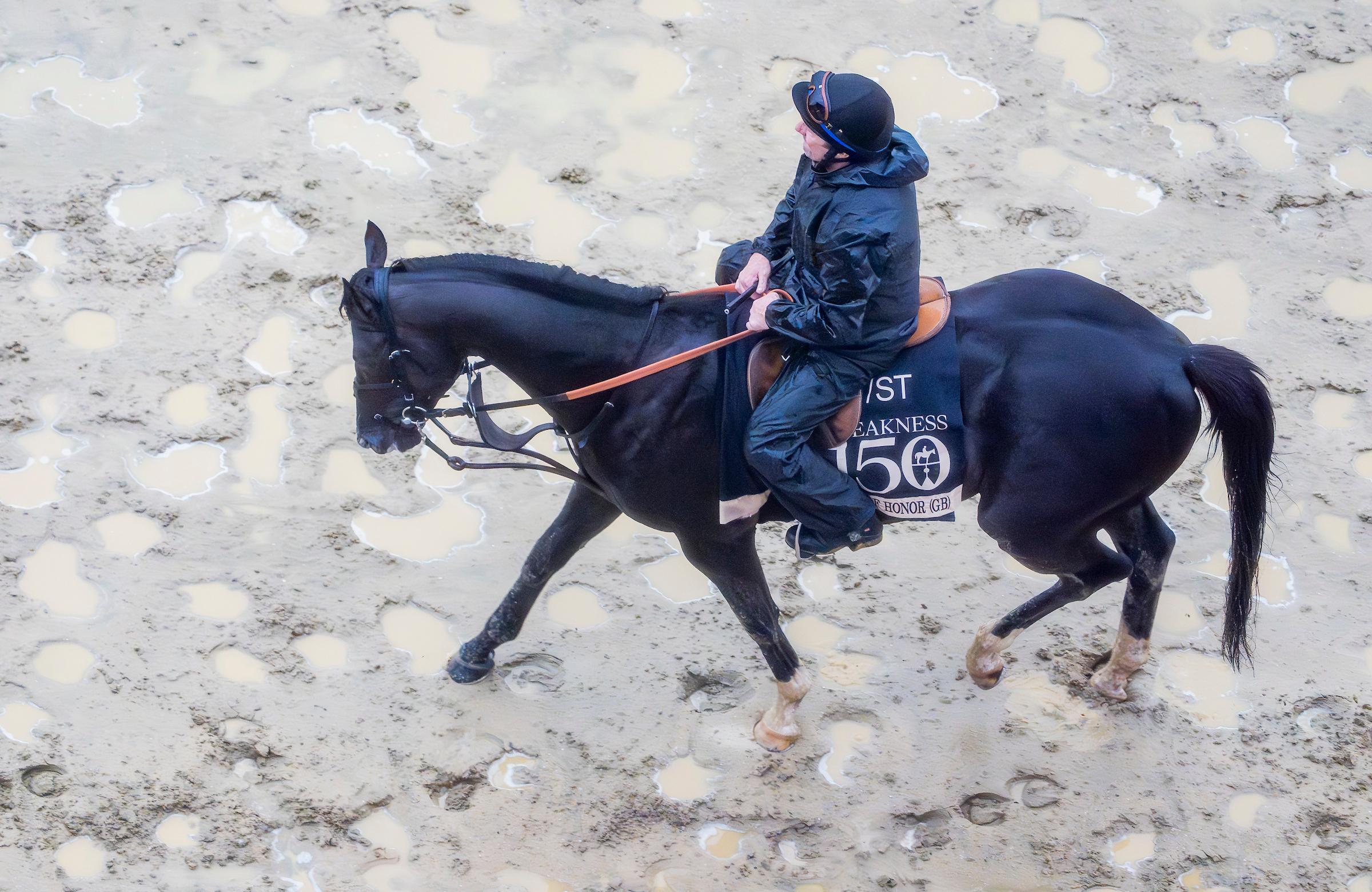 Team Behind Heart of Honor Excited to 'Give it a Shot' in Preakness ...