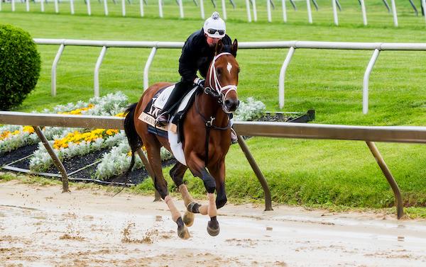 Evaluating the Preakness Field, Talking Triple Crown Format With ...
