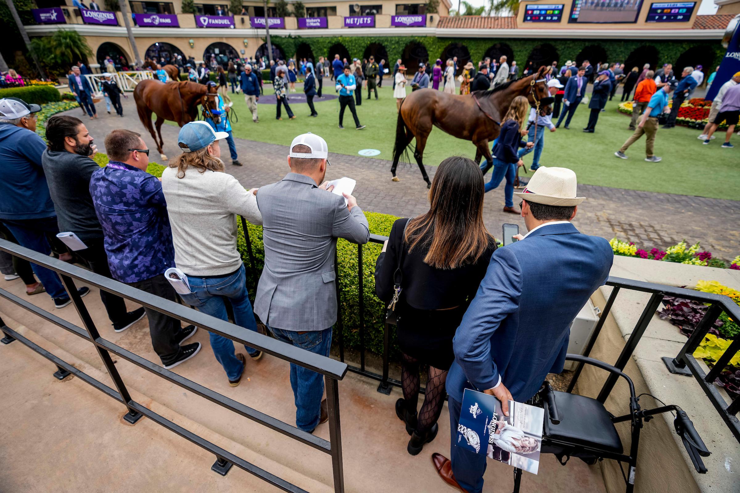 Del Mar Pro Tips for Taking Picture-Perfect Photos at 2025 Breeders ...