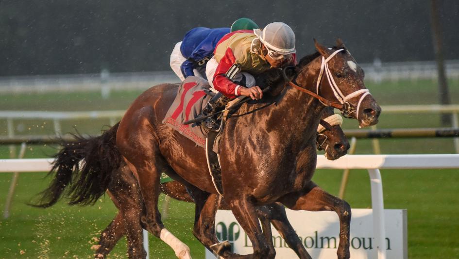 Litigate States His Case With Sam F. Davis Stakes Win at Tampa ...