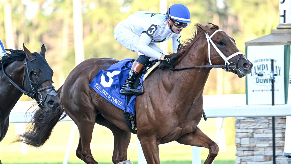 John Hancock Makes His Mark in Sam F. Davis Stakes Win | America's Best ...