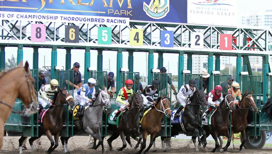 ABR Sunday Selections: Full-Card Picks for Jan. 12 at Gulfstream Park ...