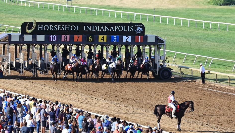 Verifying Seeks Breakthrough in Indiana Derby | America's Best Racing