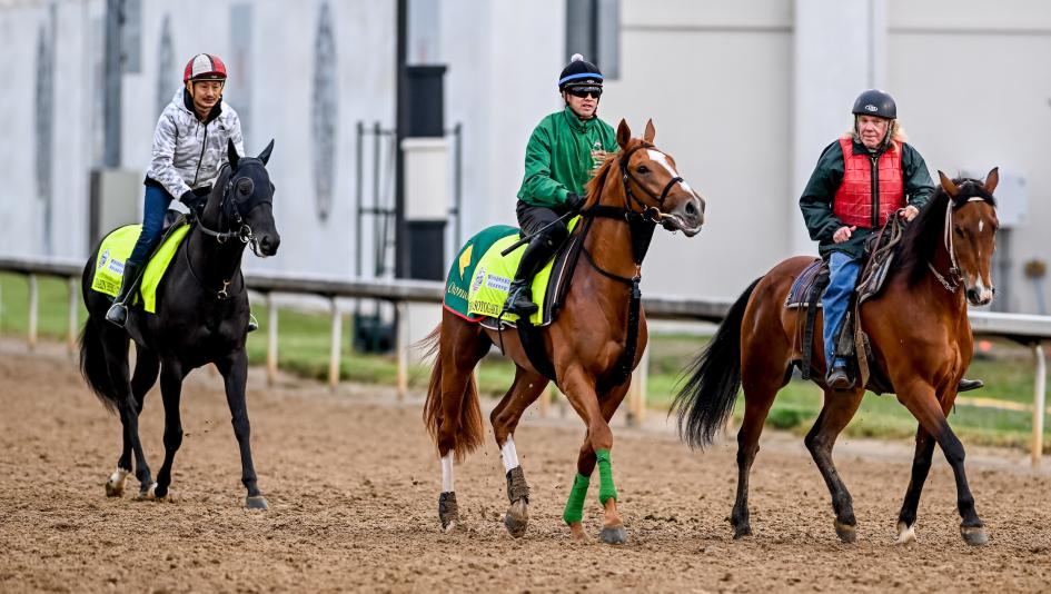 Experienced Horseman Mike Crowder Helps Put Team Japan at Ease ...