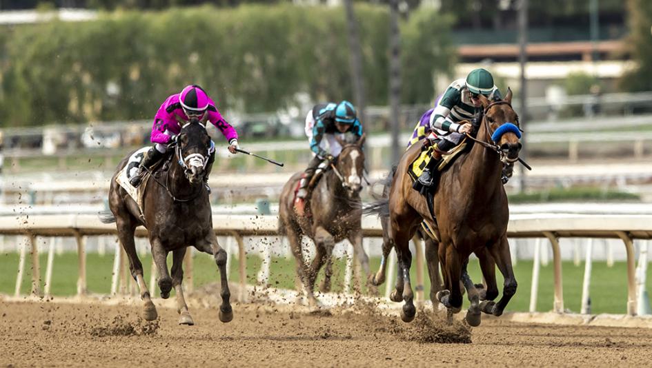 Meet the Santa Anita Oaks Contenders | America's Best Racing