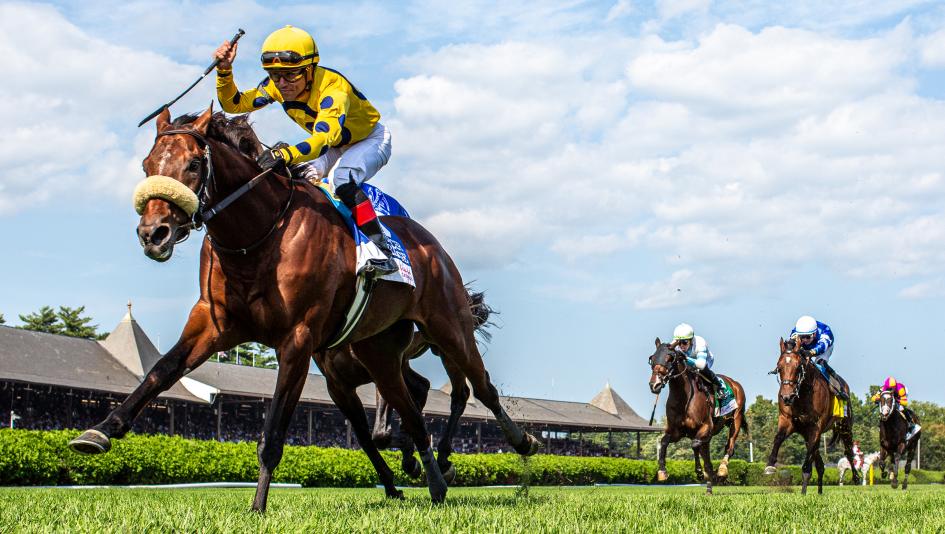 Can Far Bridge Overcome Recent Foreign Dominance in Breeders’ Cup Turf ...