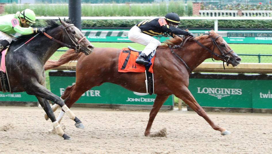 Top Win Contenders in Deep, Talented Forego Stakes Field | America's ...