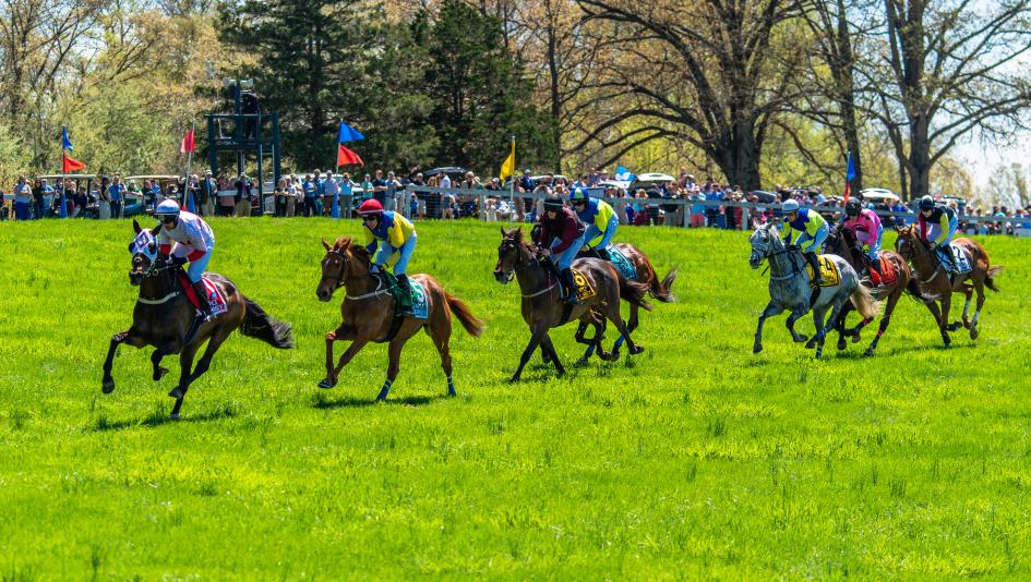 Five Things To Know About The 100th Middleburg Spring Races | America's ...
