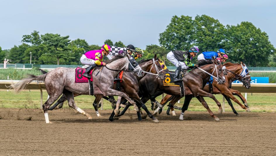 Can You Bet on Horses at U.S. Casinos Online? | America's Best Racing