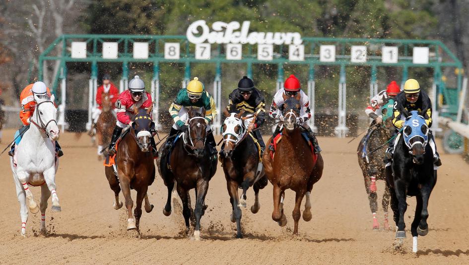 Why 20-1 Longshot Silver Prospector Has Upset Potential in Fifth Season ...