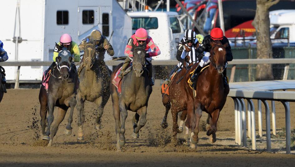 2020 Cigar Mile Handicap at a Glance | America's Best Racing