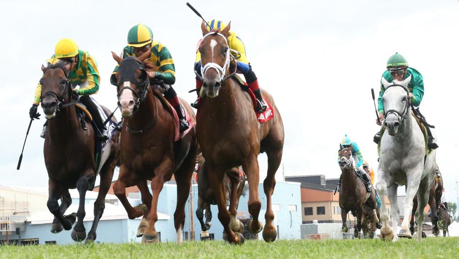 Red Knight Holds Off Gufo in Kentucky Turf Cup, Bran Springs Upset in ...