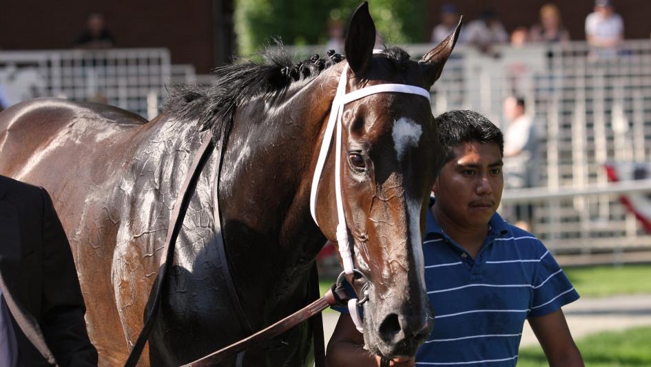 Stackin’ Cheddar: Looking Back on Hall of Famer Rachel Alexandra’s ...