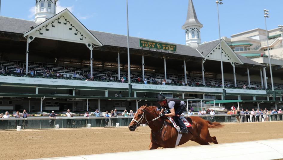 Belmont Stakes Diaries With Lindsy Reed: Eager to See Rich Strike Prove ...