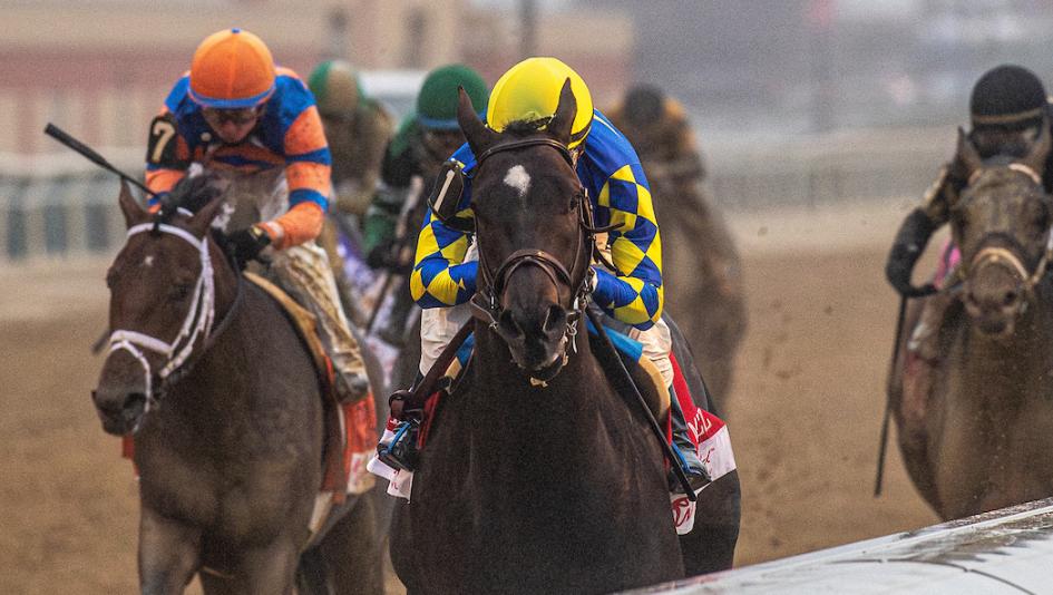 Rodriguez Punches Kentucky Derby Ticket with Wood Memorial Win at ...