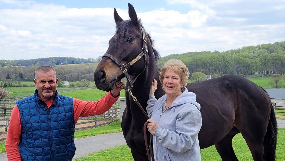 Thoroughbred Makeover Diary: Saratoga Jack Has ‘Potential to Be Truly ...