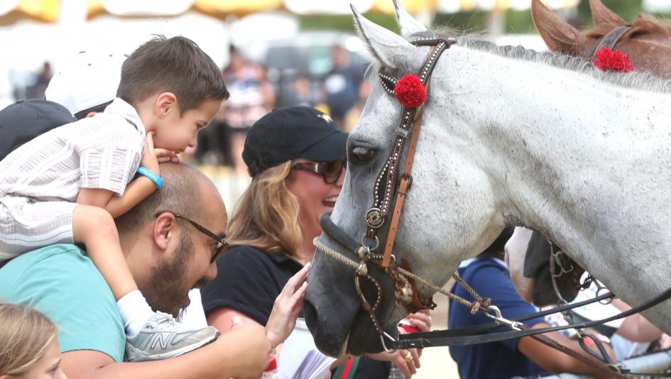 zebra racing colonial downs