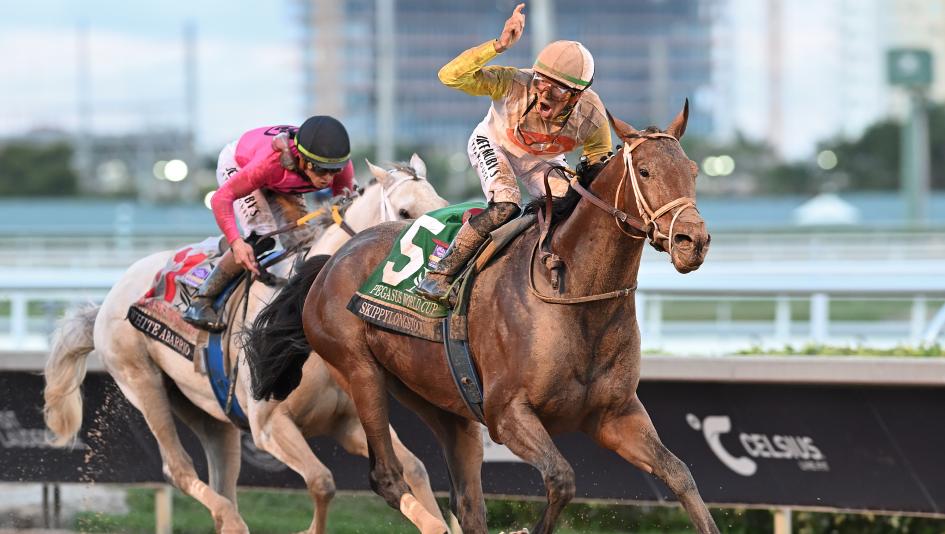 Skippylongstocking Wins Pegasus World Cup, Test Score Tops Undercard on ...