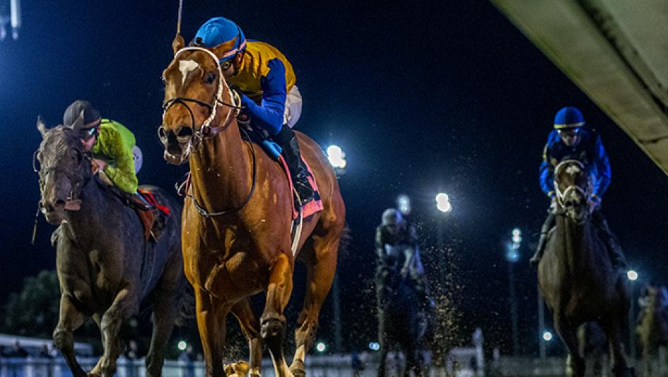 Track Phantom Wins Gun Runner Stakes in Final Derby Prep Race of 2023 ...