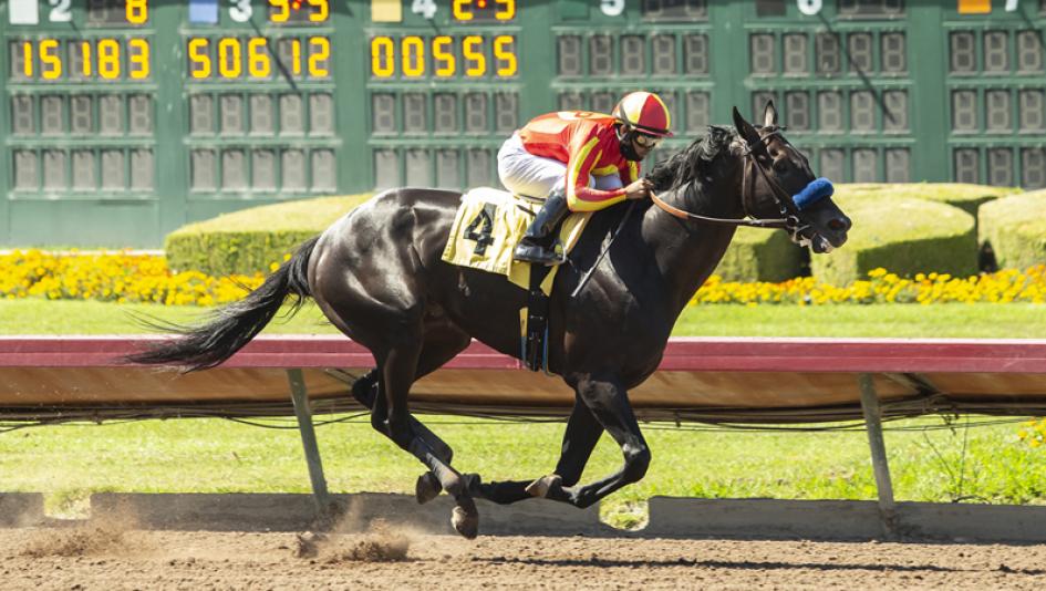 America's Best Horses for July 6 | America's Best Racing