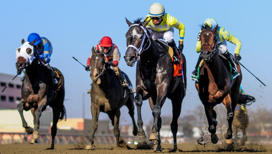 Sunny Ridge Scores in Withers, Gotham or Wood Memorial on Deck ...