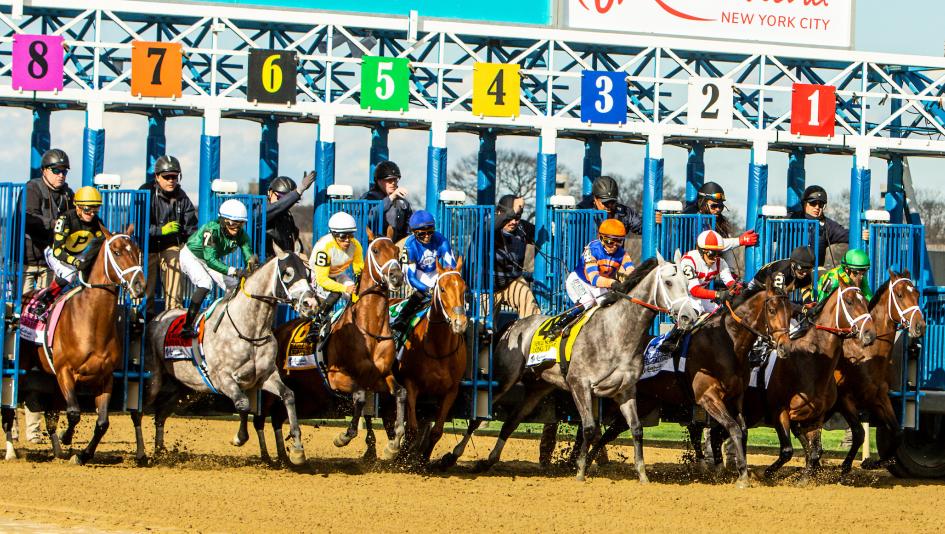 Noel’s Weekend Winners: Big-Money Stakes, Big Opportunity at Aqueduct ...