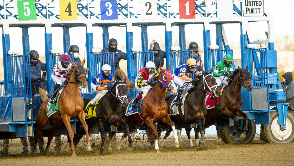 Princess Mayfair Can Pull Off Upset in Busanda Stakes | America's Best ...