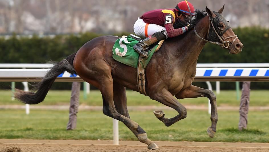 Catholic Boy Makes Dazzling Impression in Remsen Romp | America's Best ...