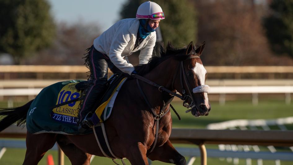 Jack Knowlton Diary: Tiz the Law Takes on Classic, ‘Race Within a Race ...