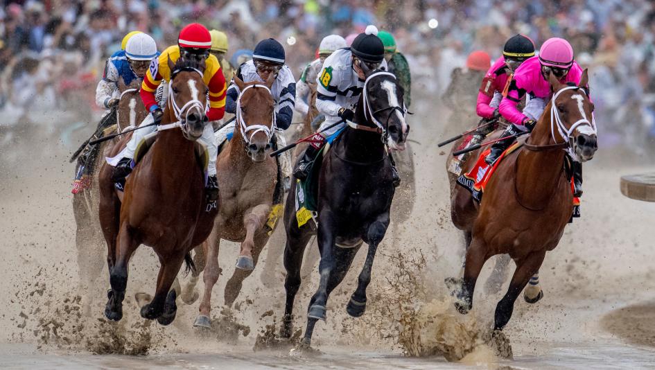 TVG Derby Selections, Promotions, Expanded Coverage for Action-Packed ...