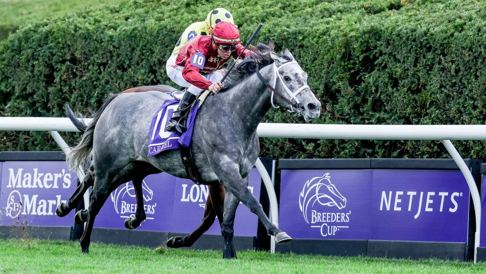 A Magical Ride for Breeder Elizabeth Merryman With Star Turf Sprinter ...