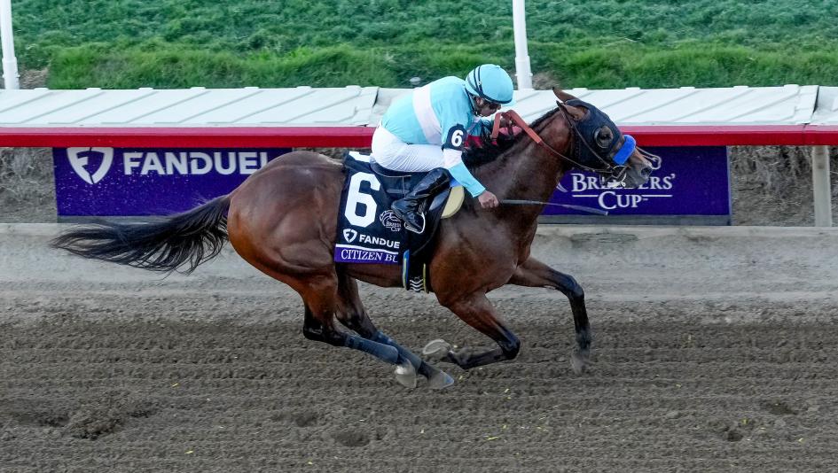 Lots to Learn From a Champion Juvenile’s 3-Year-Old Debut: All Eyes on ...
