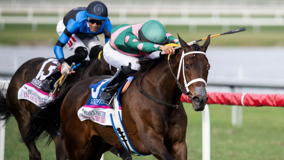 2025 Beverly D. Stakes at a Glance | America's Best Racing