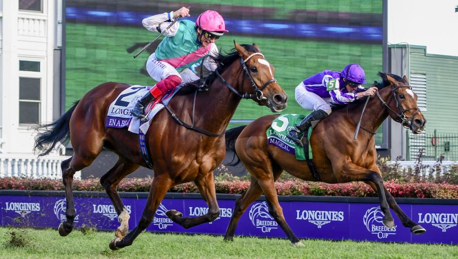 juddmonte enable foal