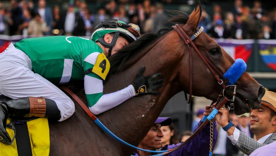 A 2.5% Interest in Retired Superstar Flightline Sells for $4.6 million ...