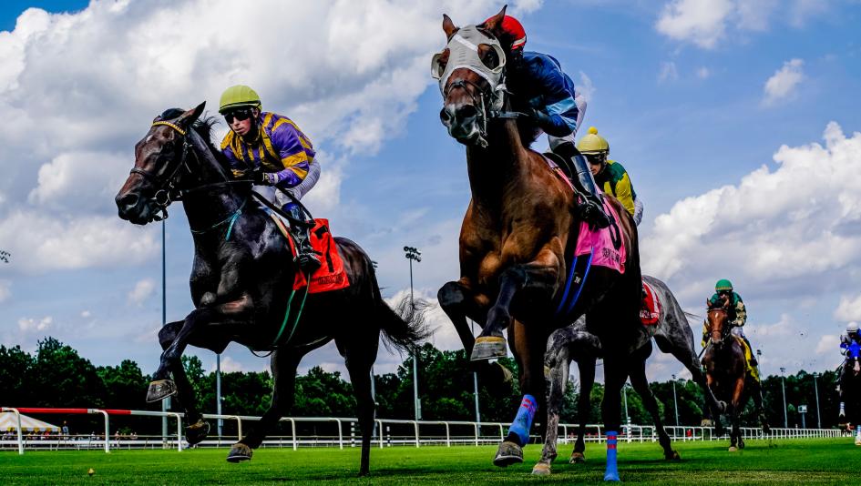 2024 Beverly D. Stakes at a Glance | America's Best Racing