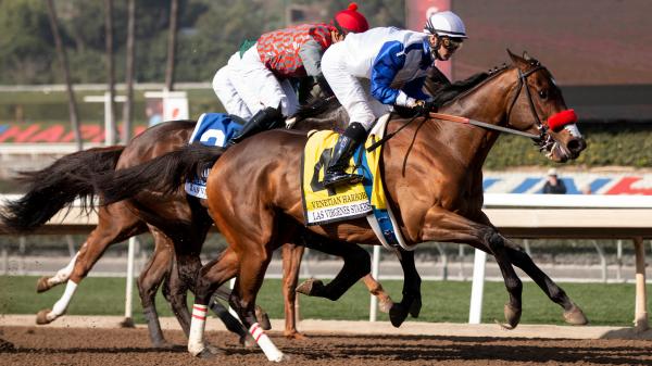 The 2020 Fantasy Stakes at a Glance | America's Best Racing