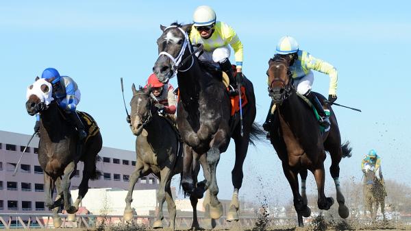 Making Money Using Exacta and Trifecta Plays in Withers Stakes ...